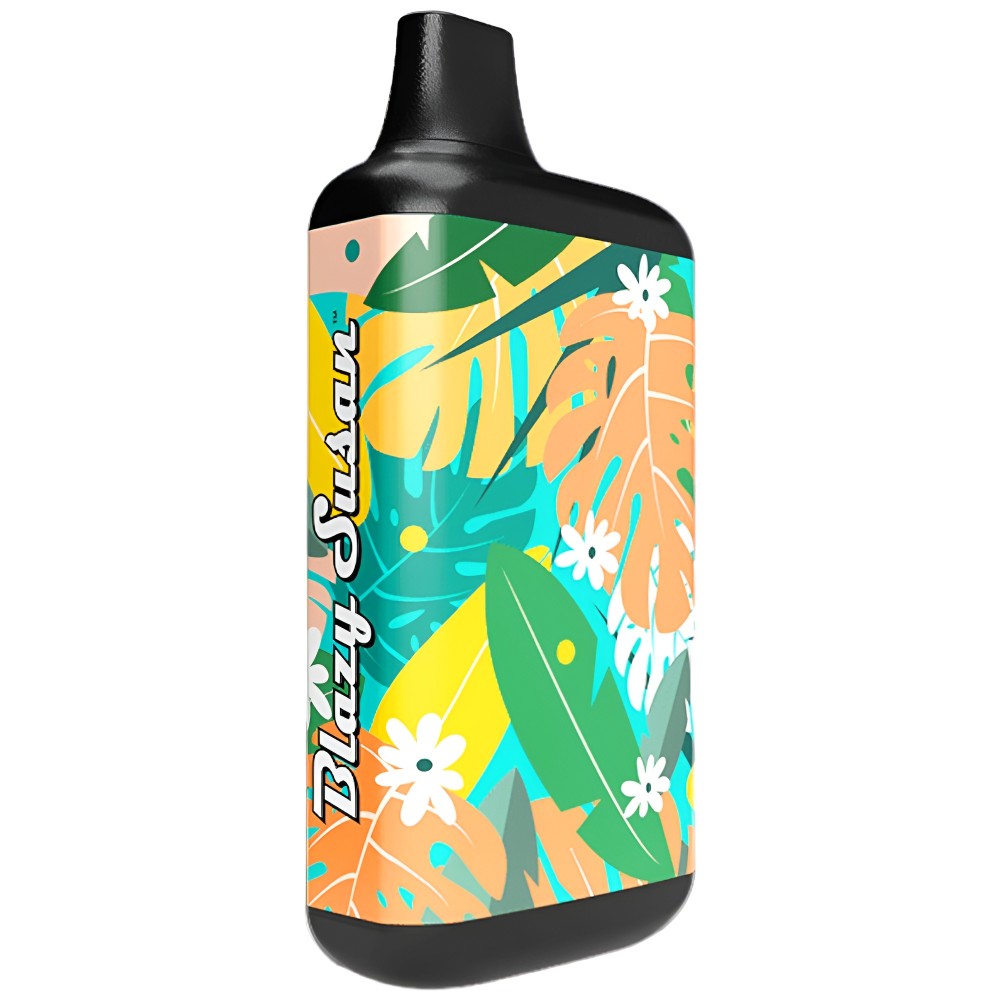 Blazy Susan Secret Box Batteries - Assorted Colors - 6ct Display